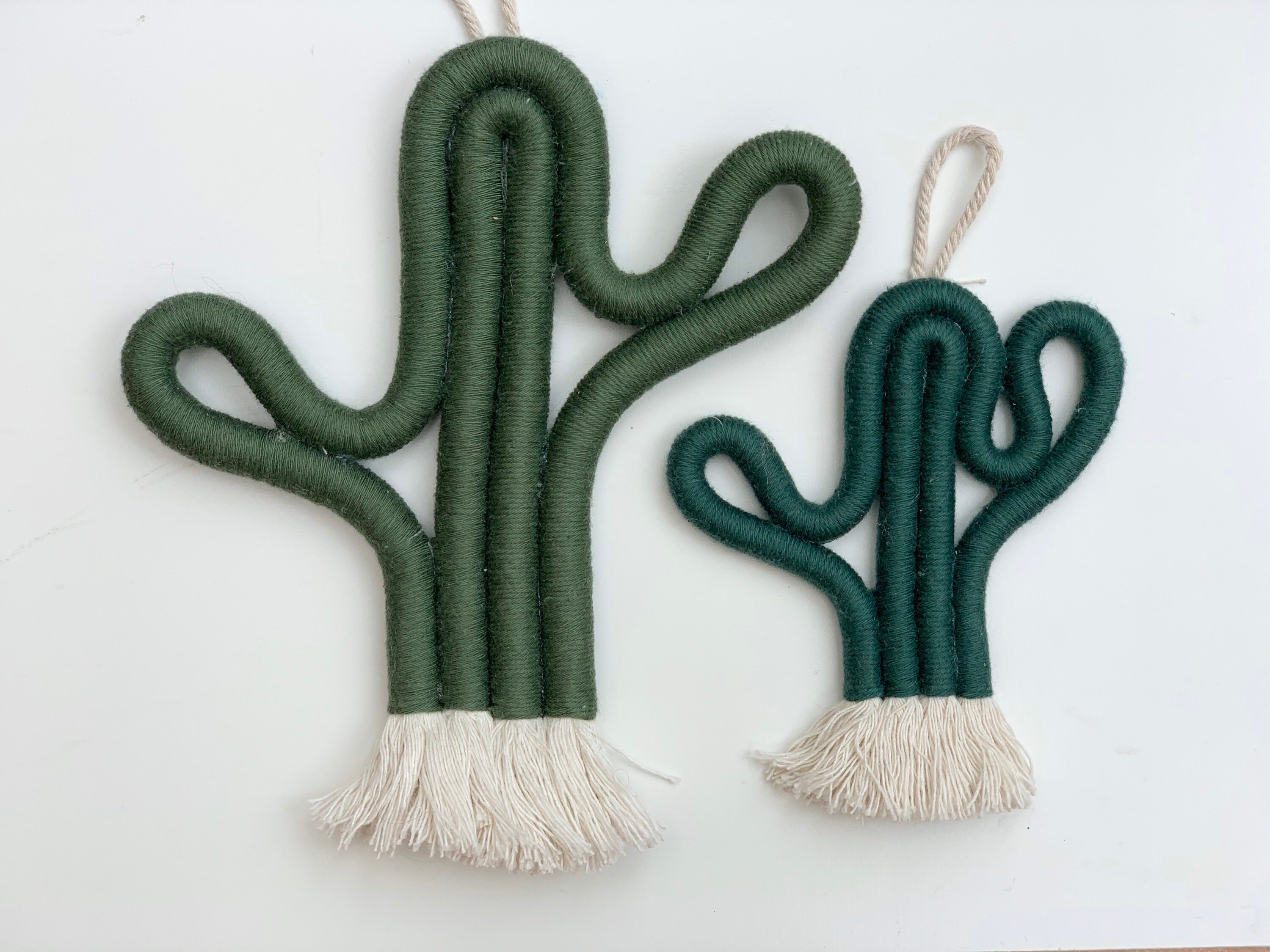 Macrame Cactus Rope Wall Hanging Cactus Home Decor Nursery - Etsy UK
