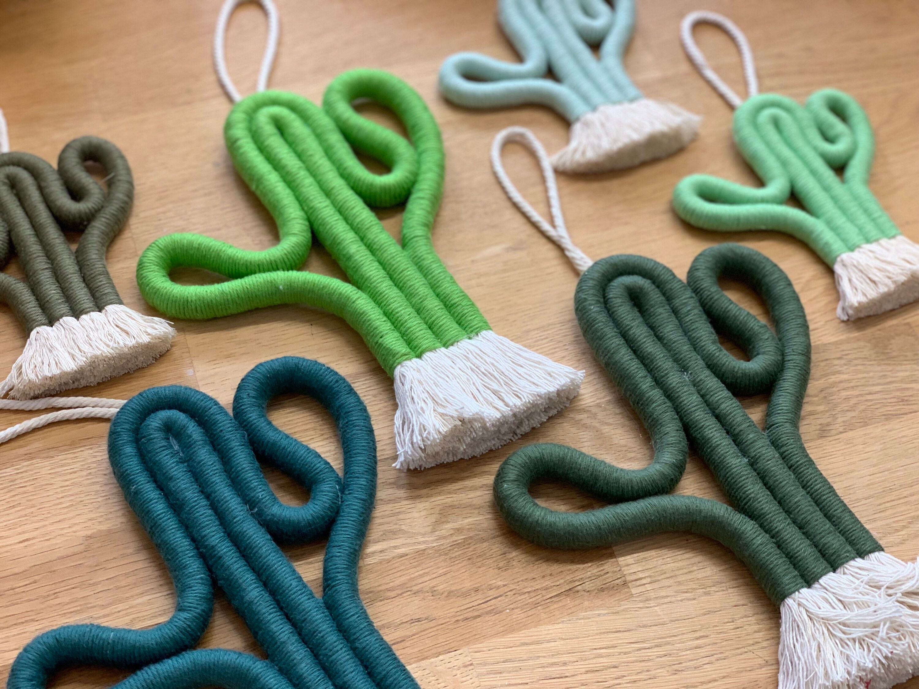 Macrame Cactus Rope Wall Hanging Cactus Home Decor Nursery | Etsy UK