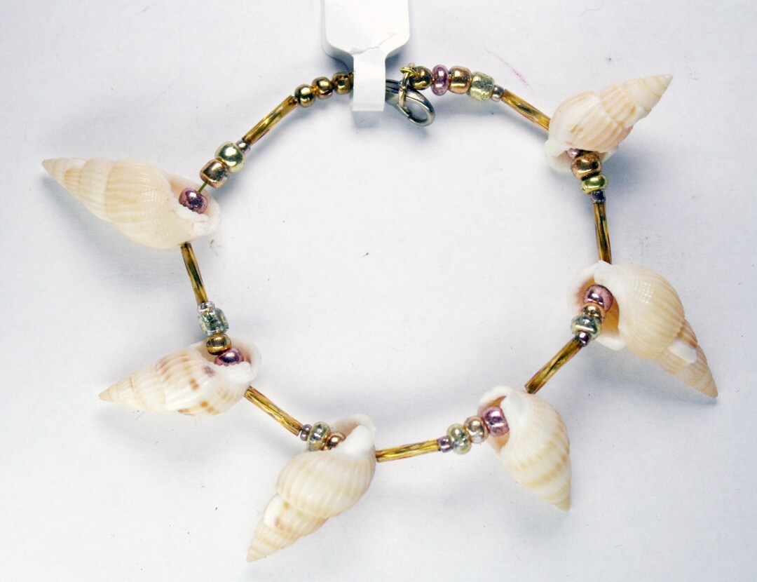 Seashell Beaded Bracelet With Gold Glass Seed Beads - Etsy