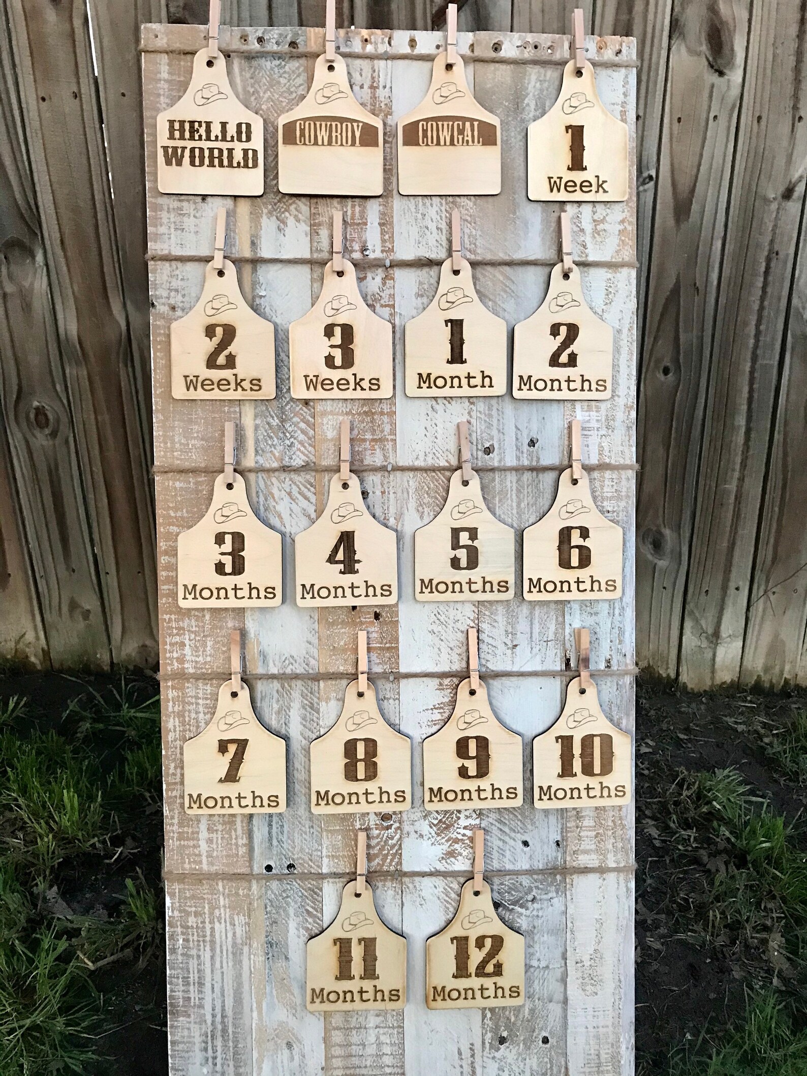 Cow Tag Milestone Markers Western Milestone Markers Baby - Etsy