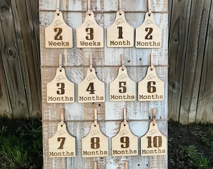 Cow Tag Milestone Markers, Western Milestone Markers, Baby Milestone ...