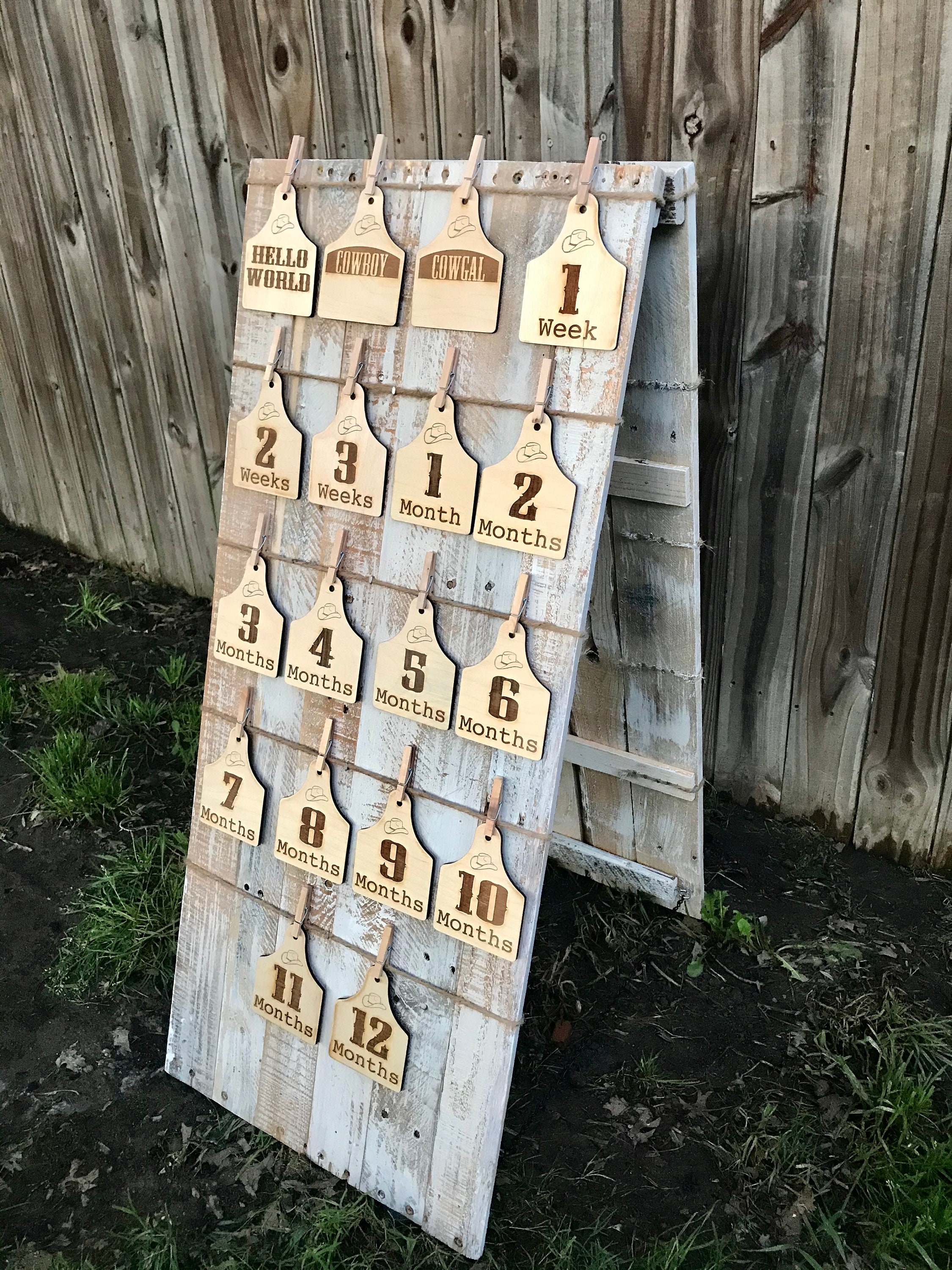 Cow Tag Milestone Markers Western Milestone Markers Baby - Etsy