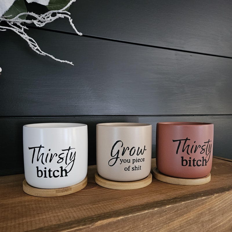 Ceramic Plant Pots Weird - Etsy