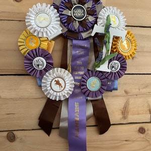 Equestrian Saddle Rowe Horse Show Ribbon Wreath, 4H , FFA Ribbons Dog ...