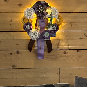 Equestrian Saddle Rowe Horse Show Ribbon Wreath, 4H , FFA Ribbons Dog ...