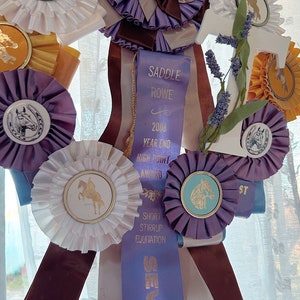 Equestrian Saddle Rowe Horse Show Ribbon Wreath, 4H , FFA Ribbons Dog ...