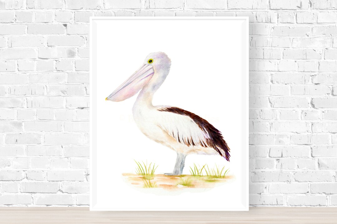 Pelican Print Pelican Watercolour Pelican Art Pelican - Etsy