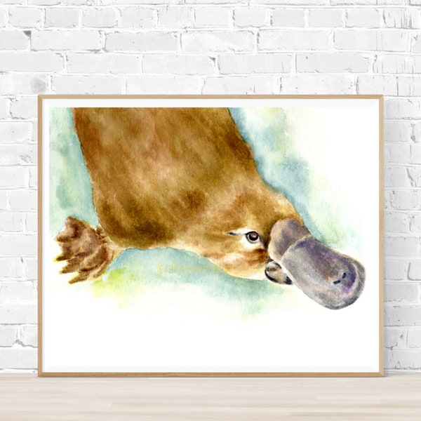 Platypus Art - Etsy