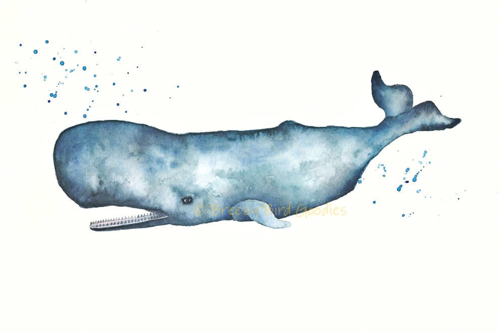 Sperm Whale Print Watercolour Whale Art Blue Whale Print | Etsy
