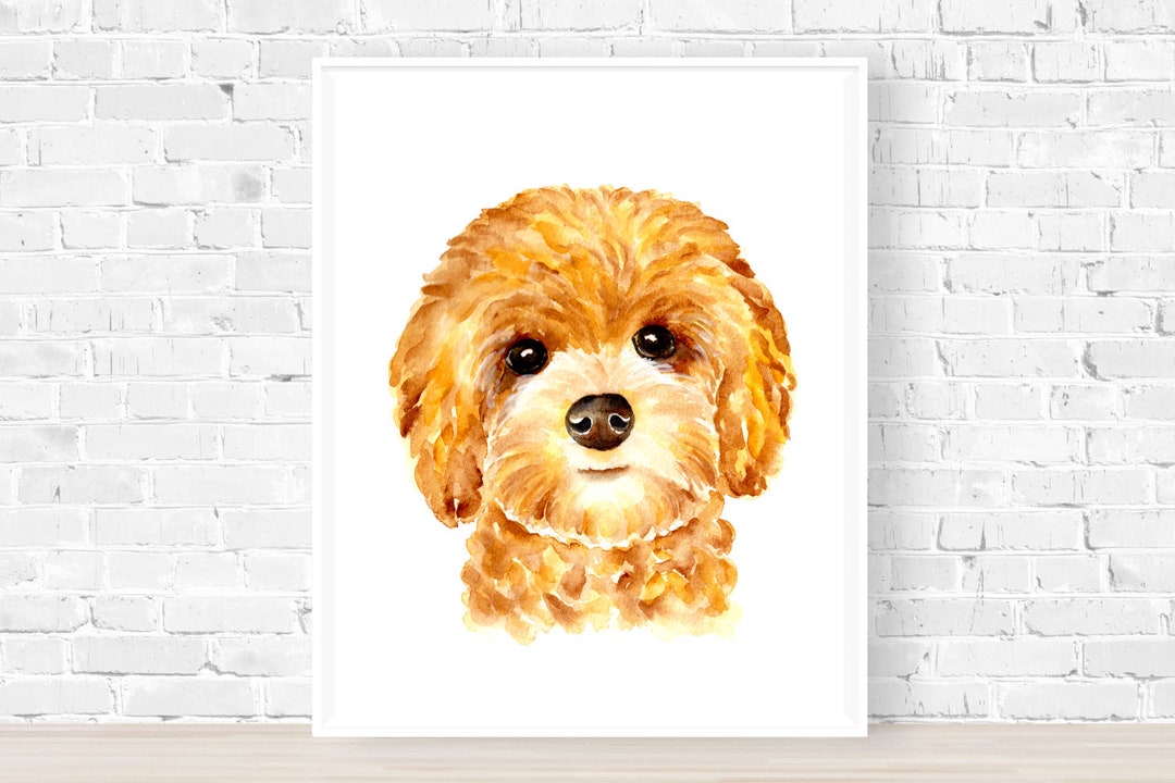 Elliot the Cavoodle Print, Cavoodle Dog, Cavoodle Art, Cavoodle Gift ...