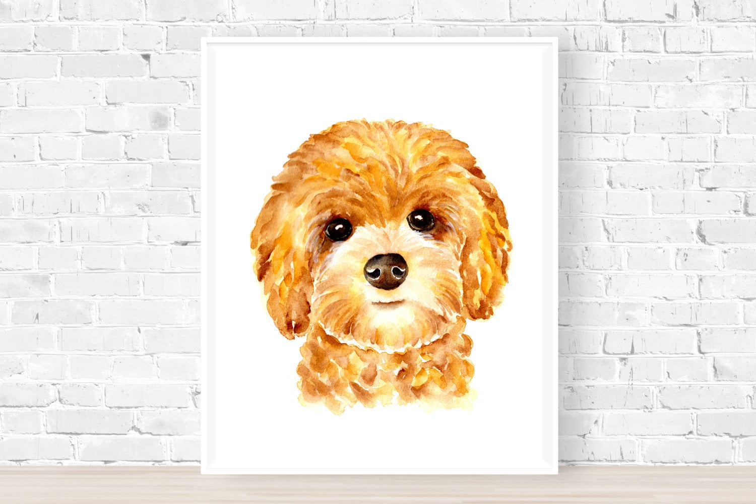 Cavoodle Dog