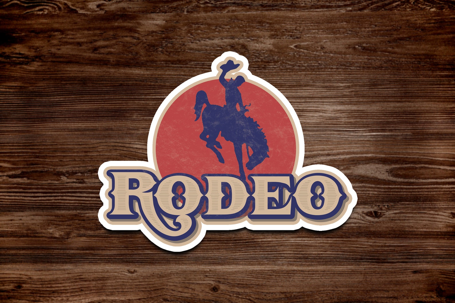 4 RETRO RODEO STICKER Western Rodeo Decal Sticker | Etsy