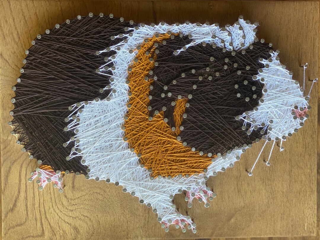 Custom Guinea Pig String Art Pet Portrait Wall Hanging Handmade Nail ...