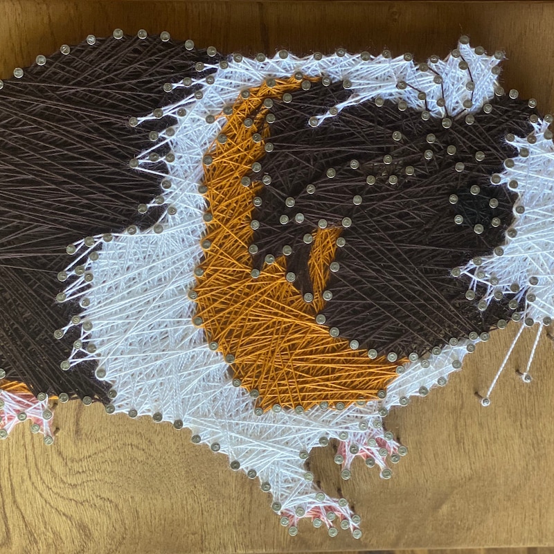 Pig String Art - Etsy