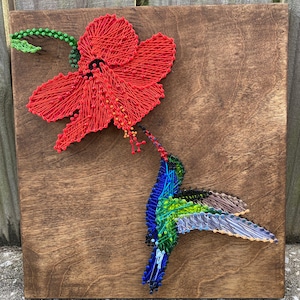 Realistic Hummingbird String Art - Etsy