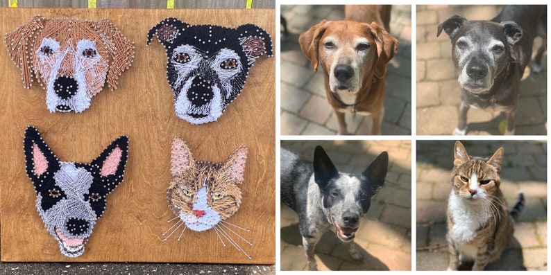 Custom Four-pet Portrait String Art Wall Hanging Handmade Nail Art - Etsy