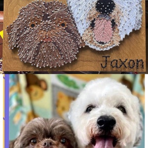 Custom Two-pet Portrait String Art Wall Decor - Etsy