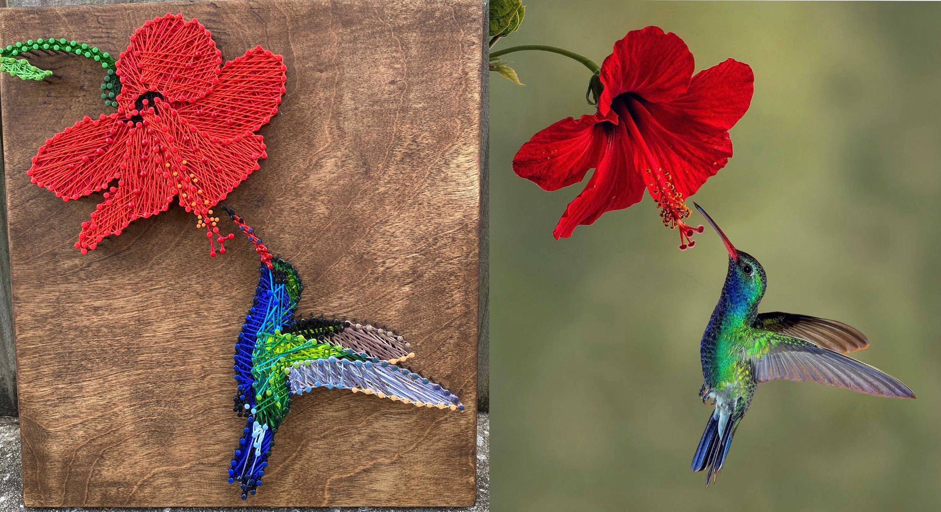 Realistic Hummingbird String Art | Etsy