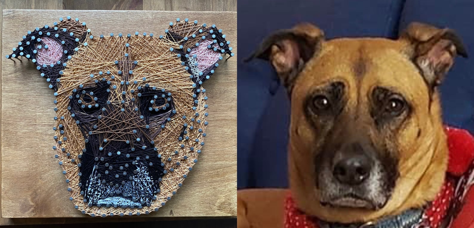 Custom Dog String Art Pet Portrait Wall Hanging Handmade Nail Art - Etsy