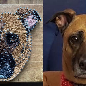 Custom Dog String Art Pet Portrait Wall Hanging Handmade Nail Art - Etsy