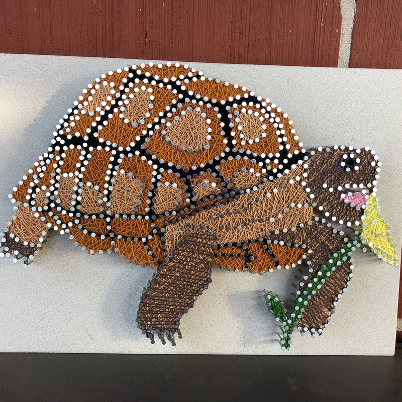 Turtle String Art - Etsy