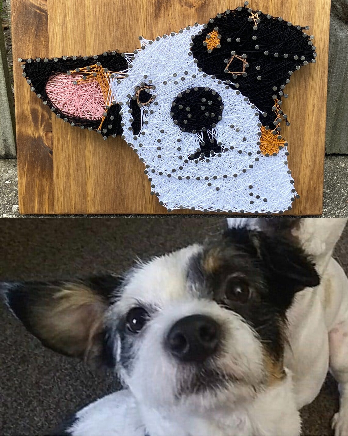 Custom Dog String Art Pet Portrait Wall Hanging Handmade Nail | Etsy