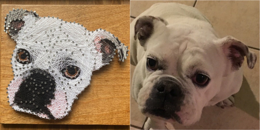 Custom Dog String Art Pet Portrait Wall Hanging Handmade Nail Art - Etsy