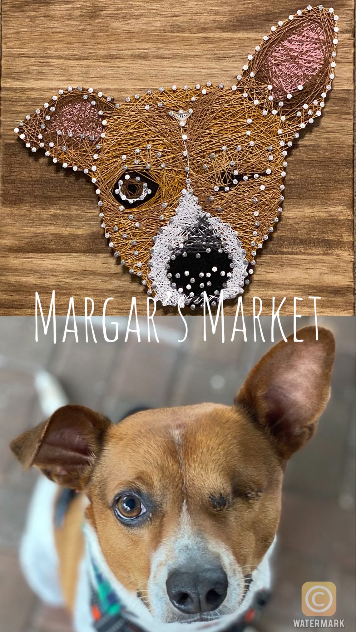 Custom Dog String Art Pet Portrait Wall Hanging Handmade Nail | Etsy