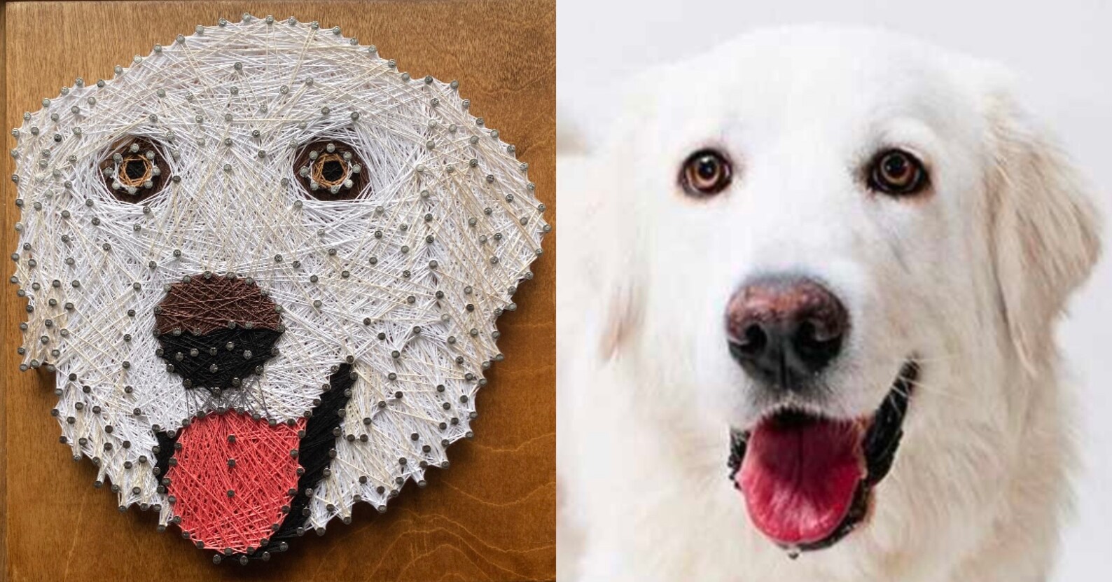 Custom Dog String Art Pet Portrait Wall Hanging Handmade Nail Art - Etsy