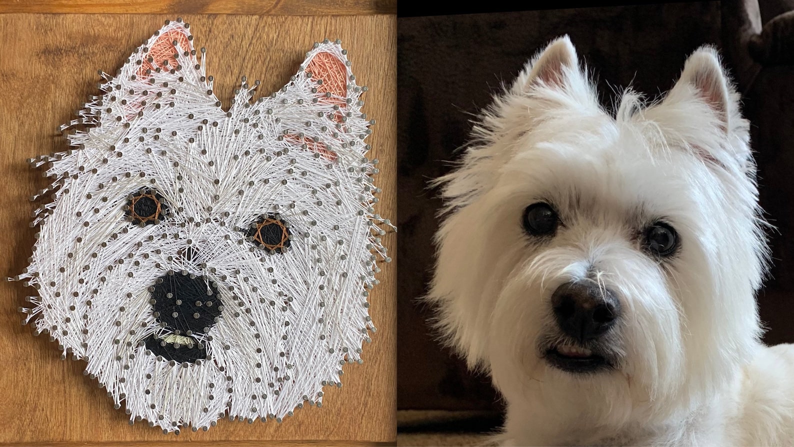 Custom Dog String Art Pet Portrait Wall Hanging Handmade Nail Art - Etsy