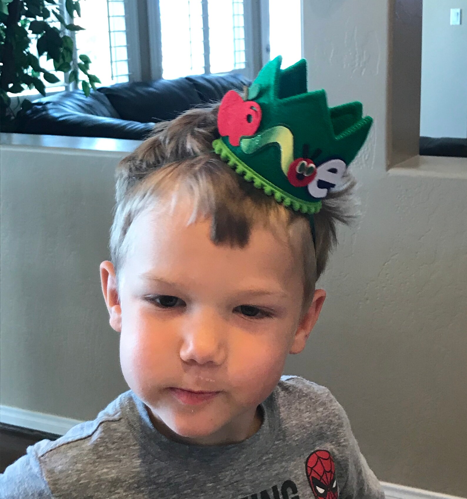 Apple Birthday Hat Green Felt Birthday Hat Boy First - Etsy