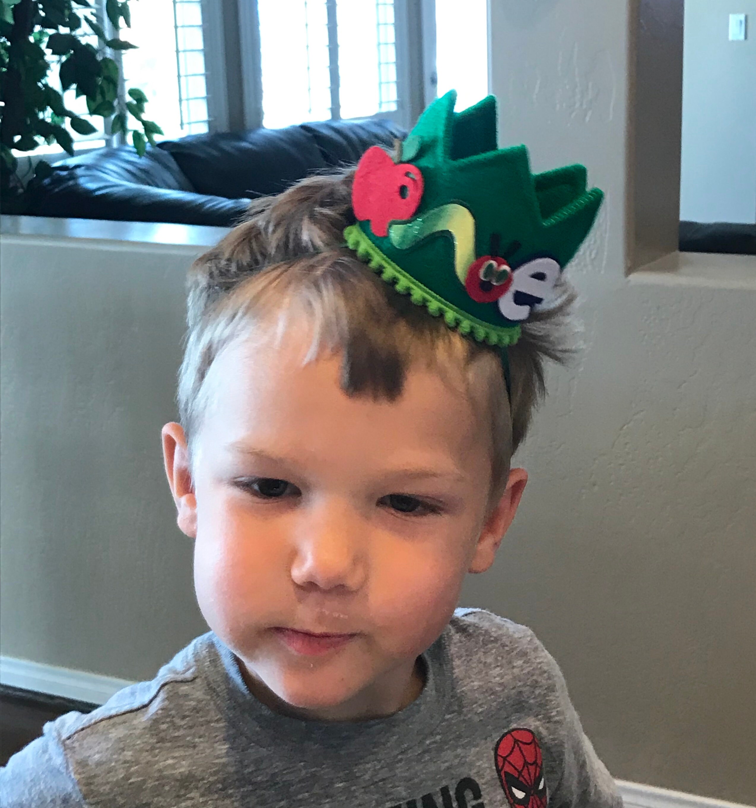 Apple Birthday Hat Green Felt Birthday Hat Boy First - Etsy