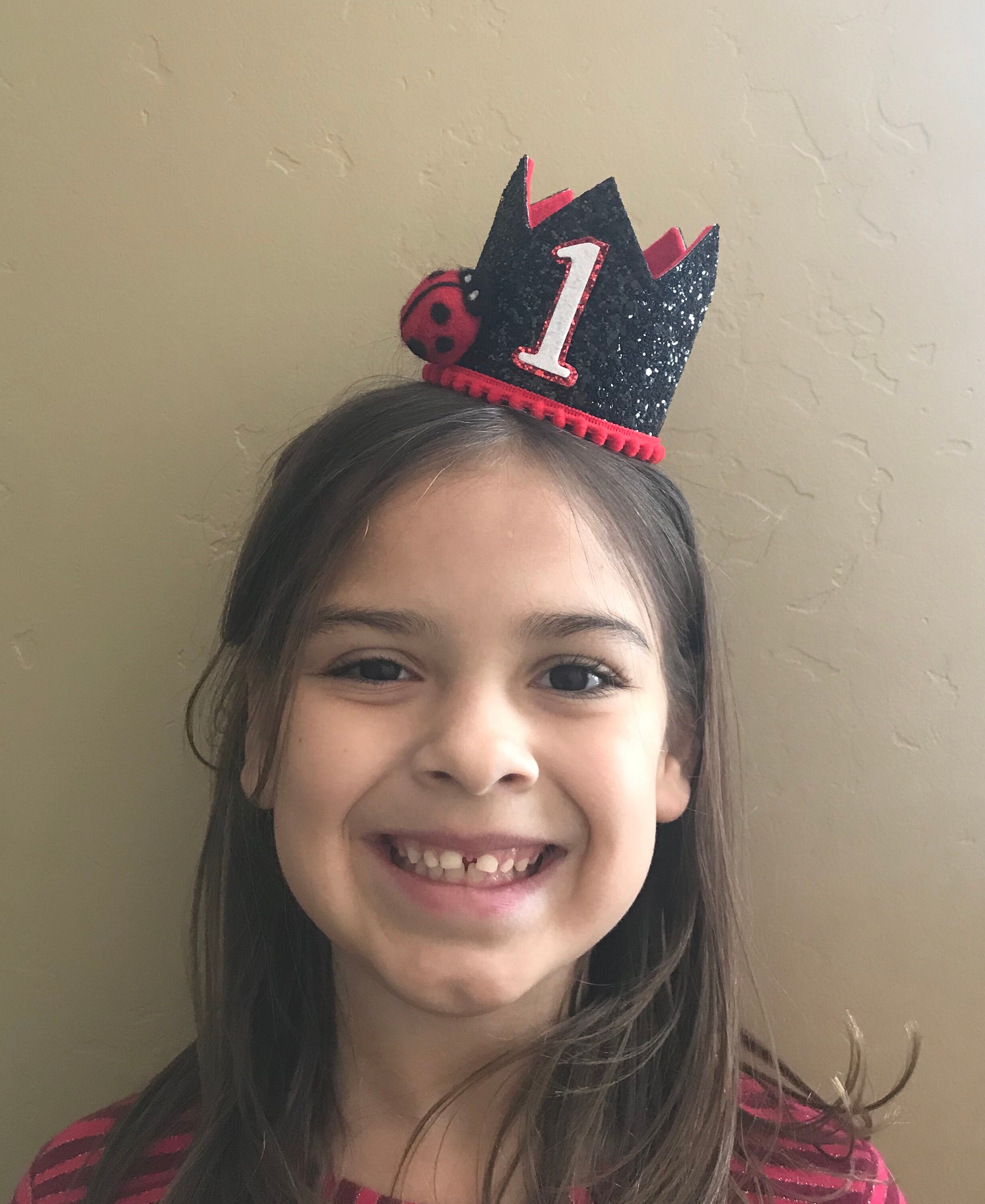 Ladybug Birthday Hat Ladybug Birthday Crown Ladybug Birthday | Etsy