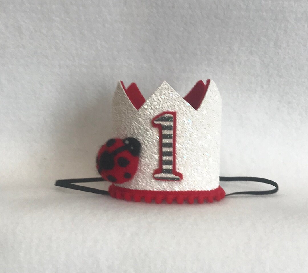 Ladybug Birthday Hat, Ladybug Birthday Crown, Ladybug Birthday Outfit ...