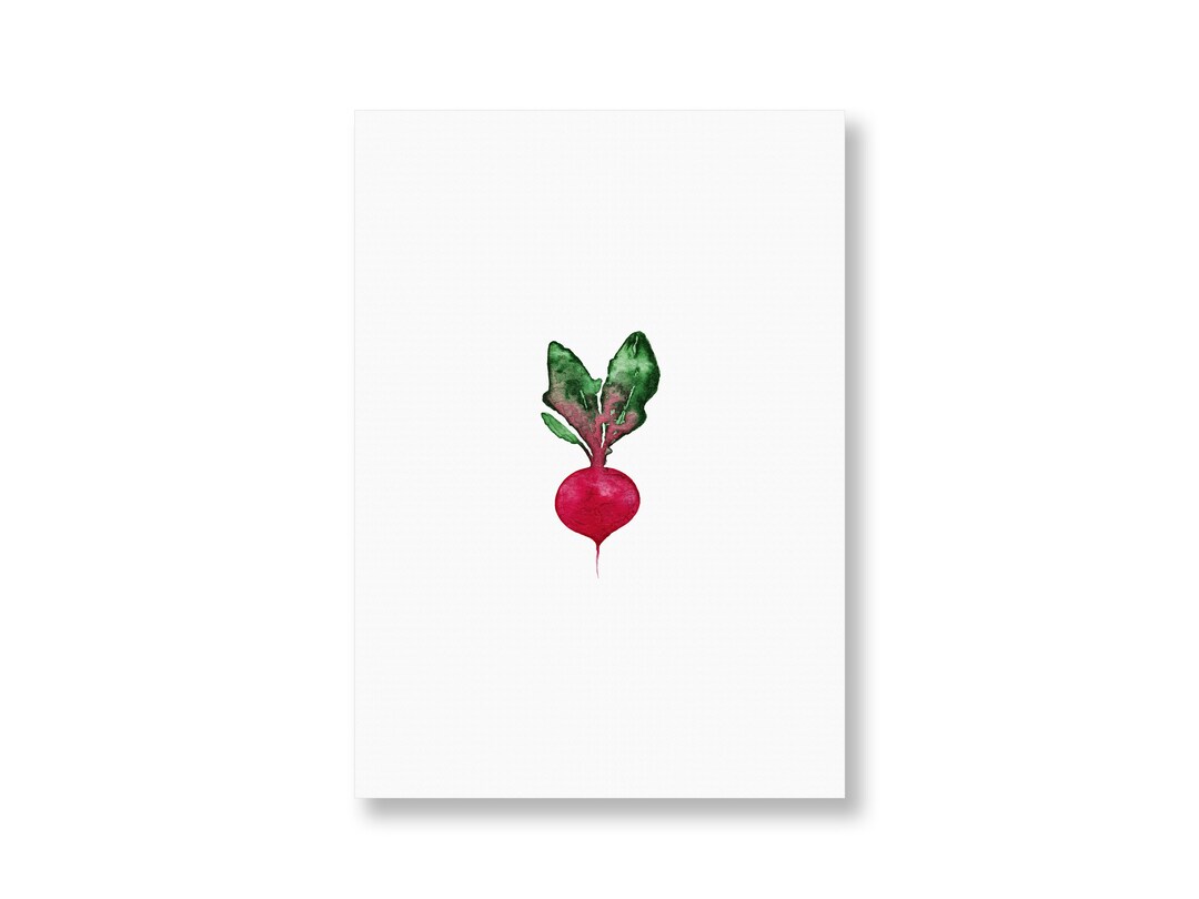 Radish Postcard, Radish, Card Vegetables, Vegetables, Din A6, Linen ...