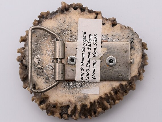 Feather Cow Skull Carved Deer/Elk Antler Handmade Vin… - Gem