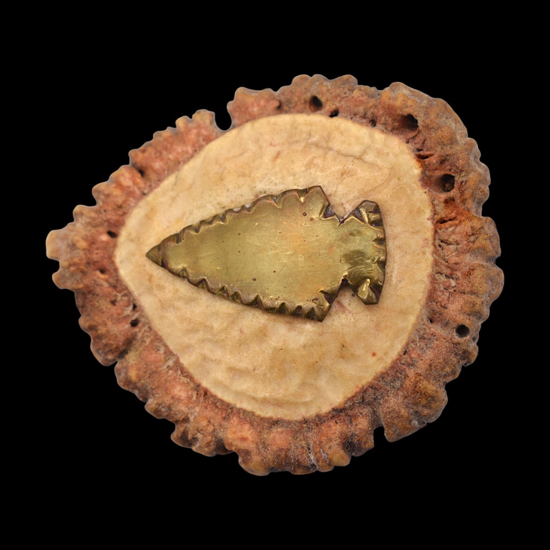Elk Antler Burr Rosette Crown Brass Arrowhead Vintage Belt Buckle - Etsy