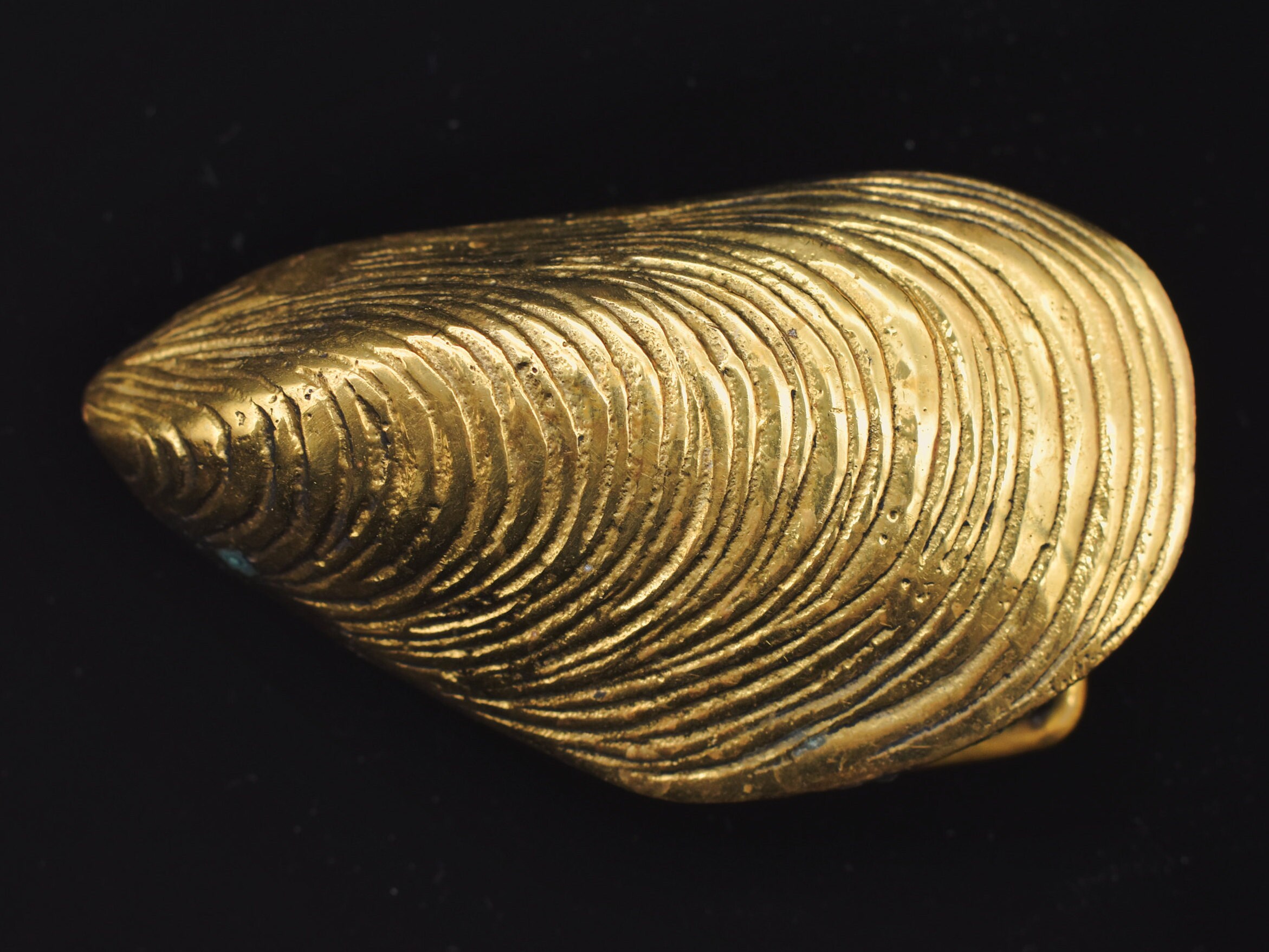 Seashell Clam Barnacle Solid Brass Vintage Belt Buckle | Etsy