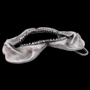 Shark Jaws Teeth Beach Surfer Bum Nautical Deep Sea Ocean Belt Buckle ...