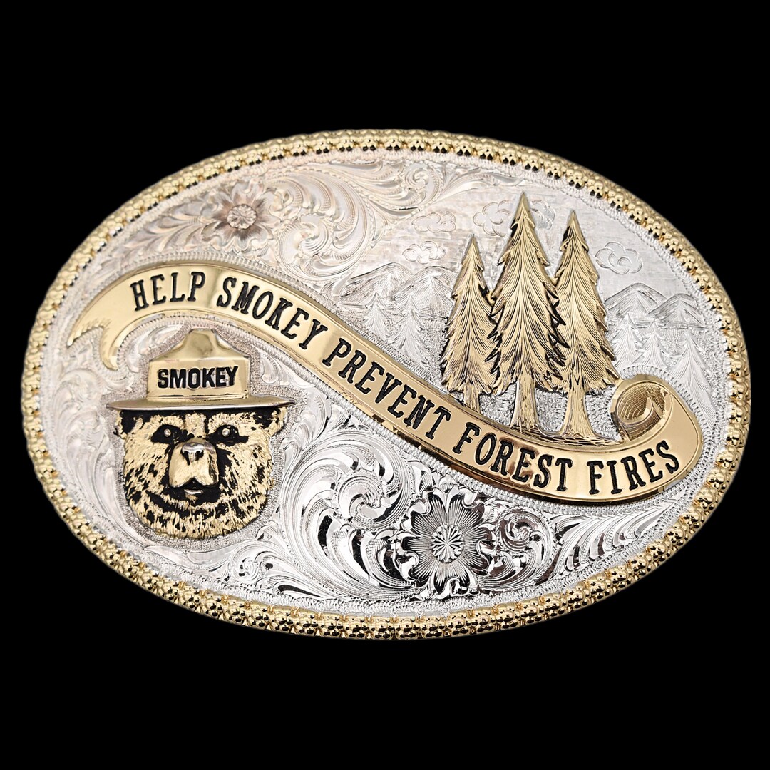 Smokey Bear Prevent Forest Fires Licensed Gist Solid Bronze GP/SP ...