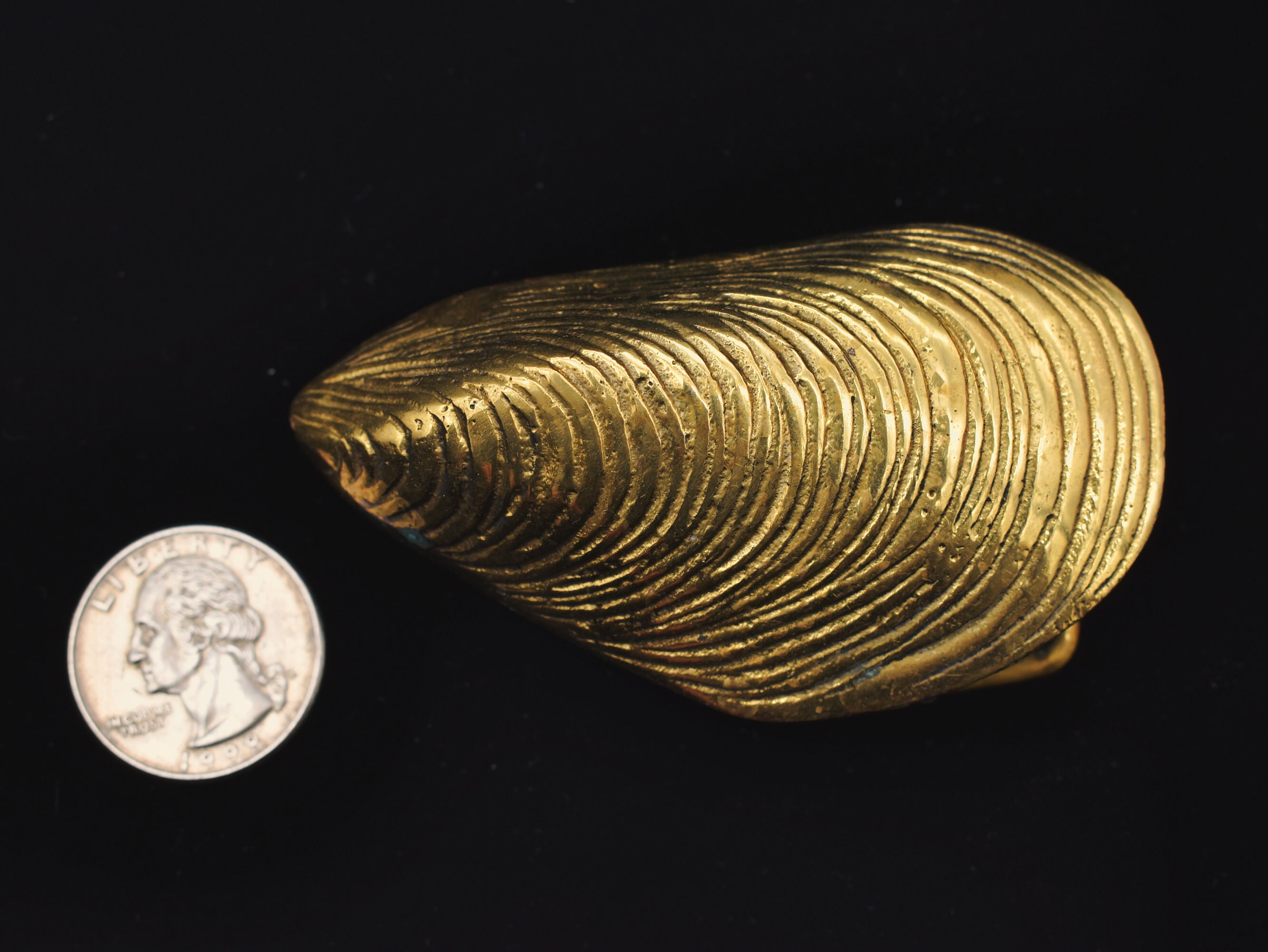 Seashell Clam Barnacle Solid Brass Vintage Belt Buckle | Etsy