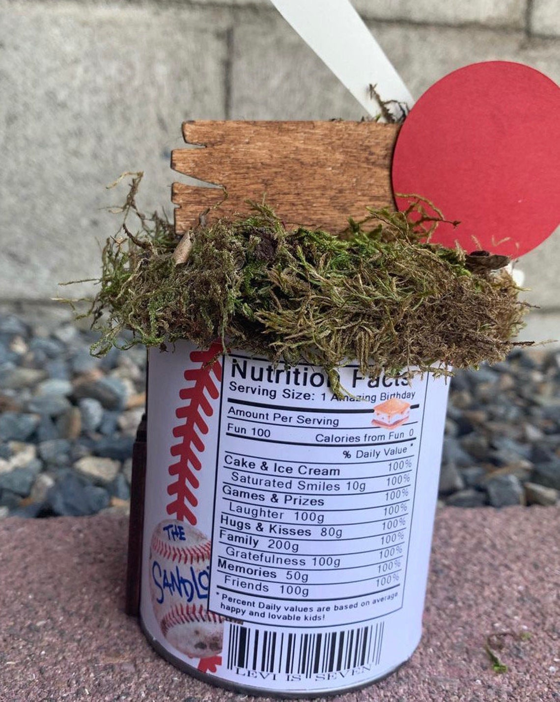 Sandlot Theme Pringles | Personalized Pringles | Pringles Shaker ...