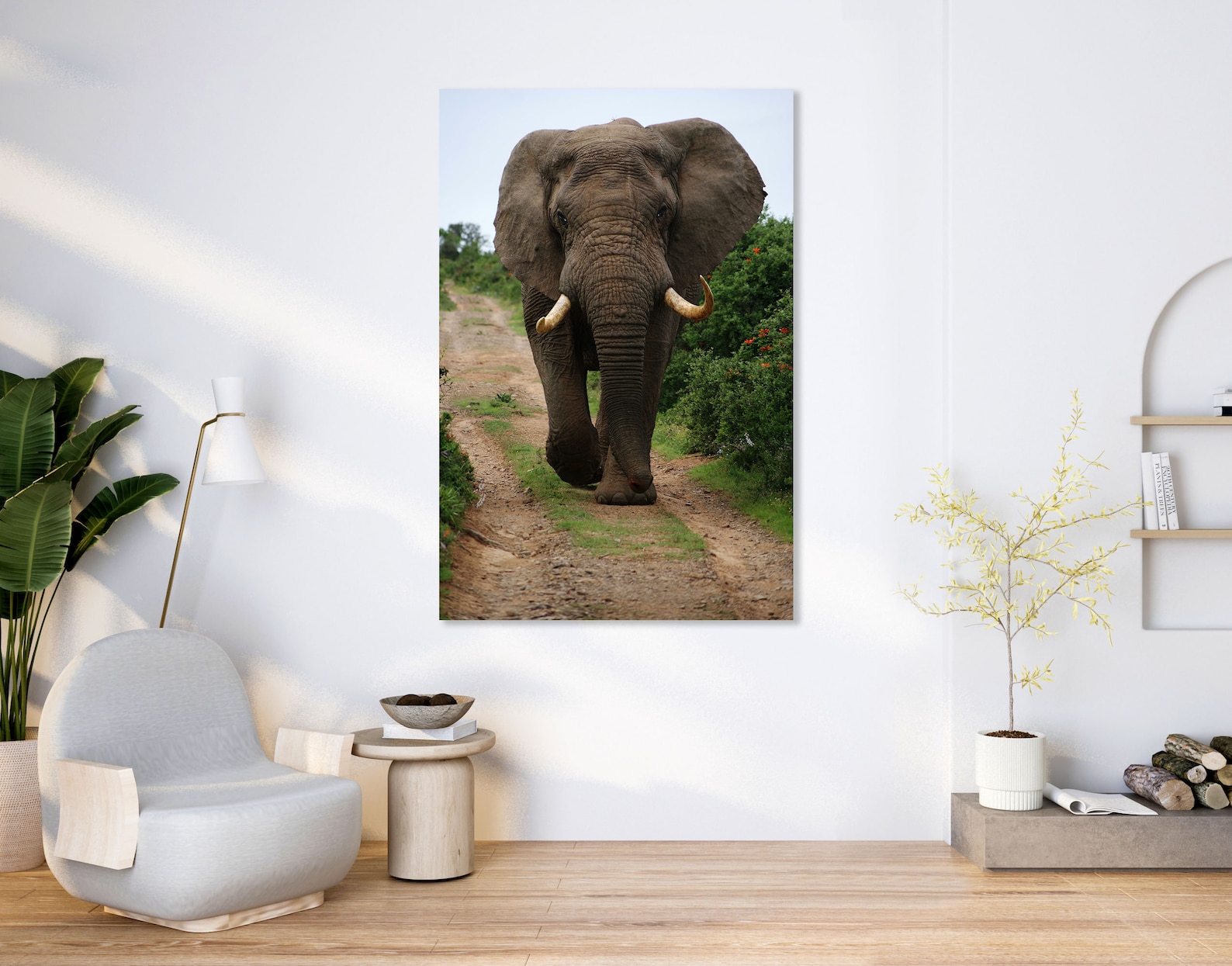 Elephant Canvas Elephant Wall Art Elephant Print Elephant Wall - Etsy
