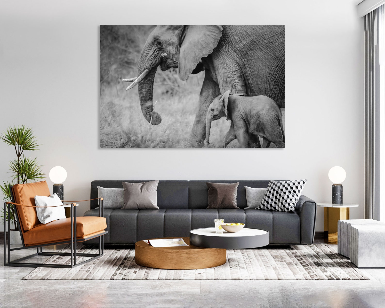 Elephant Canvas Elephant Wall Art Elephant Print Elephant Wall - Etsy