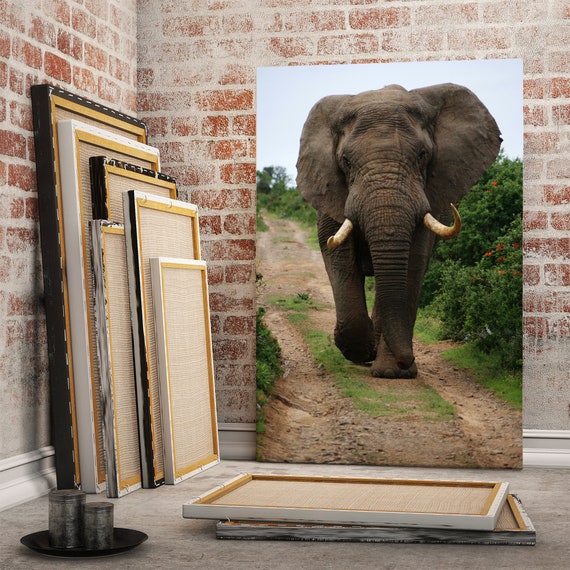 Elephant Canvas Elephant Wall Art Elephant print Elephant wall | Etsy