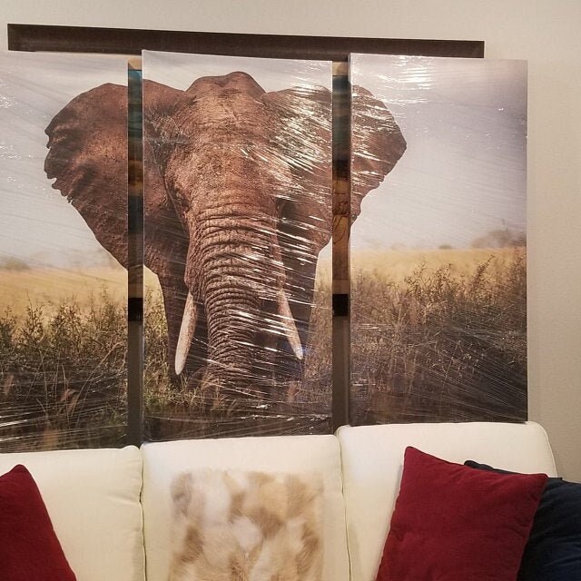 Elephant Canvas Elephant Wall Art Elephant print Elephant wall | Etsy