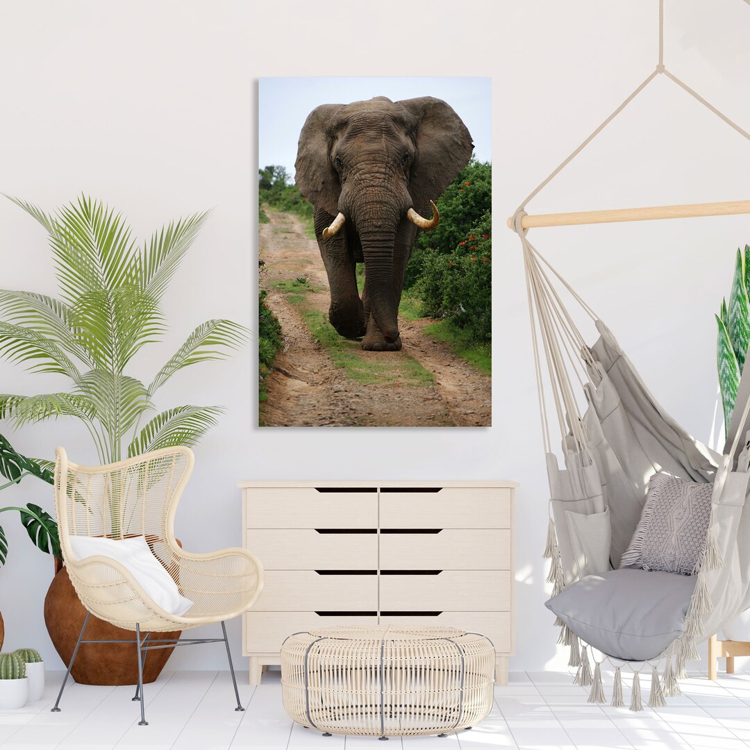 Elephant Canvas Elephant Wall Art Elephant Print Elephant Wall Decor ...