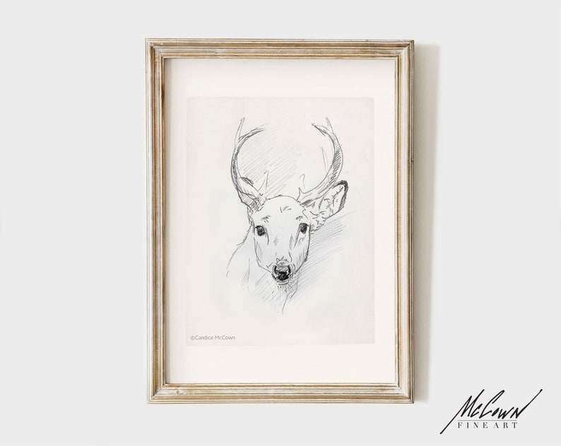 Wild Deer Graphite Sketch Drawing Print - Etsy