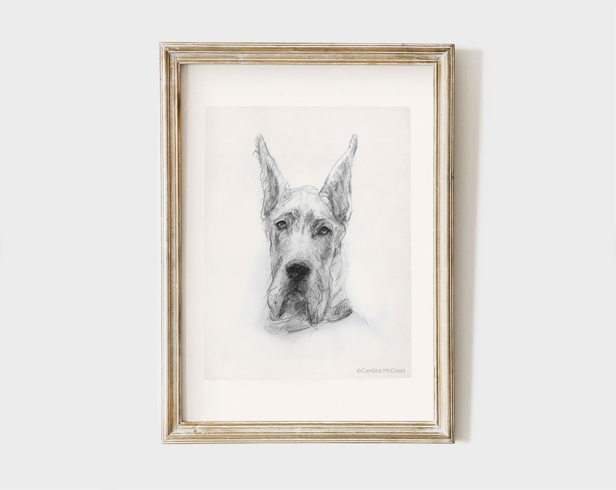 Great Dane Dog Graphite Sketch Drawing Print - Etsy