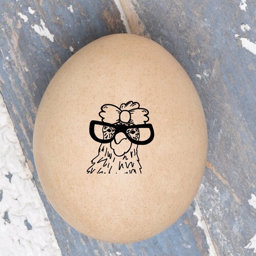 Egg Carton Stickers Funny Chicken Face Fresh Eggs Egg - Etsy